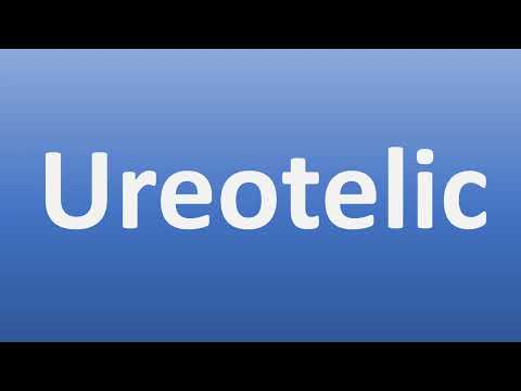 How to Pronounce Ureotelic