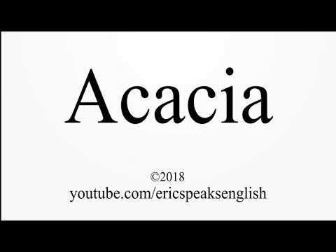 How to Pronounce Acacia