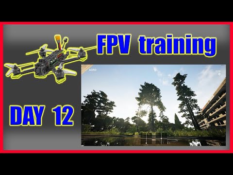 Steam Community :: Video :: FPV training - Day 12 - 2024.01.19 - Uncrashed