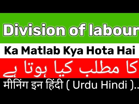 Division Of Labour Meaning | Division Of Labour Meaning In Urdu | Division Of Labour Ka Matlab Kya H