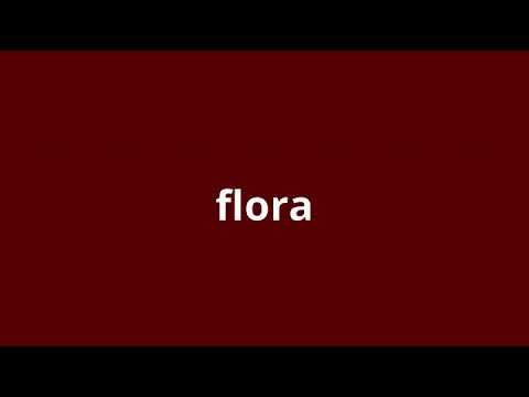 what is the meaning of flora