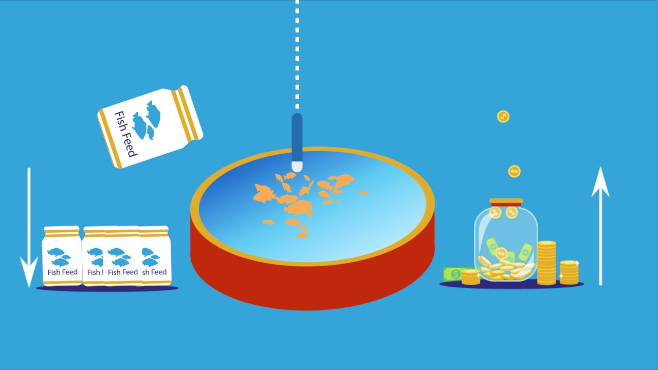 Nilebot - Water Quality Monitoring System for Aquaculture