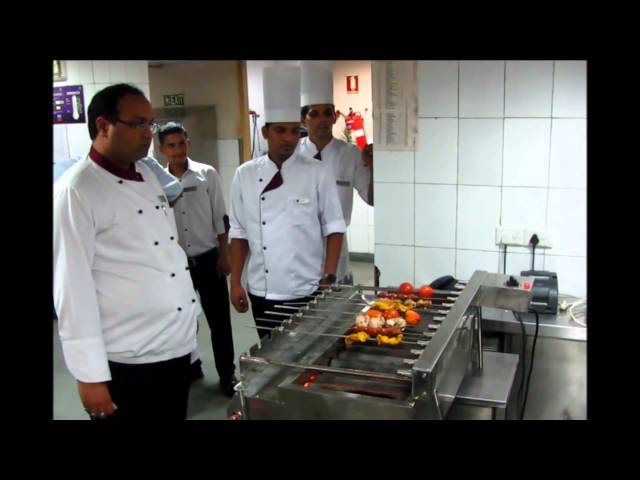 Barbecue Grill - Kebab Grill 7-Seekh Gas Grill Manufacturer from Mohali