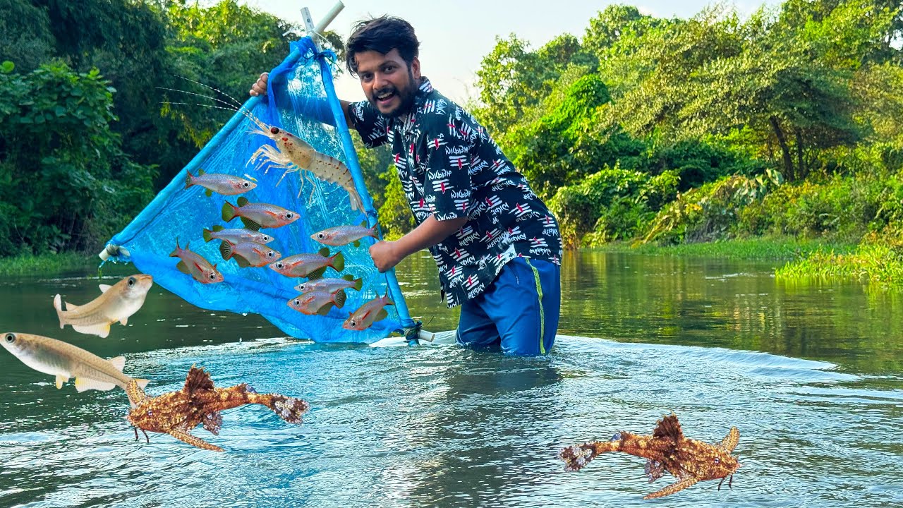 Incredible 1000s Transparent Fish Collection 😳🥰🔥❤️