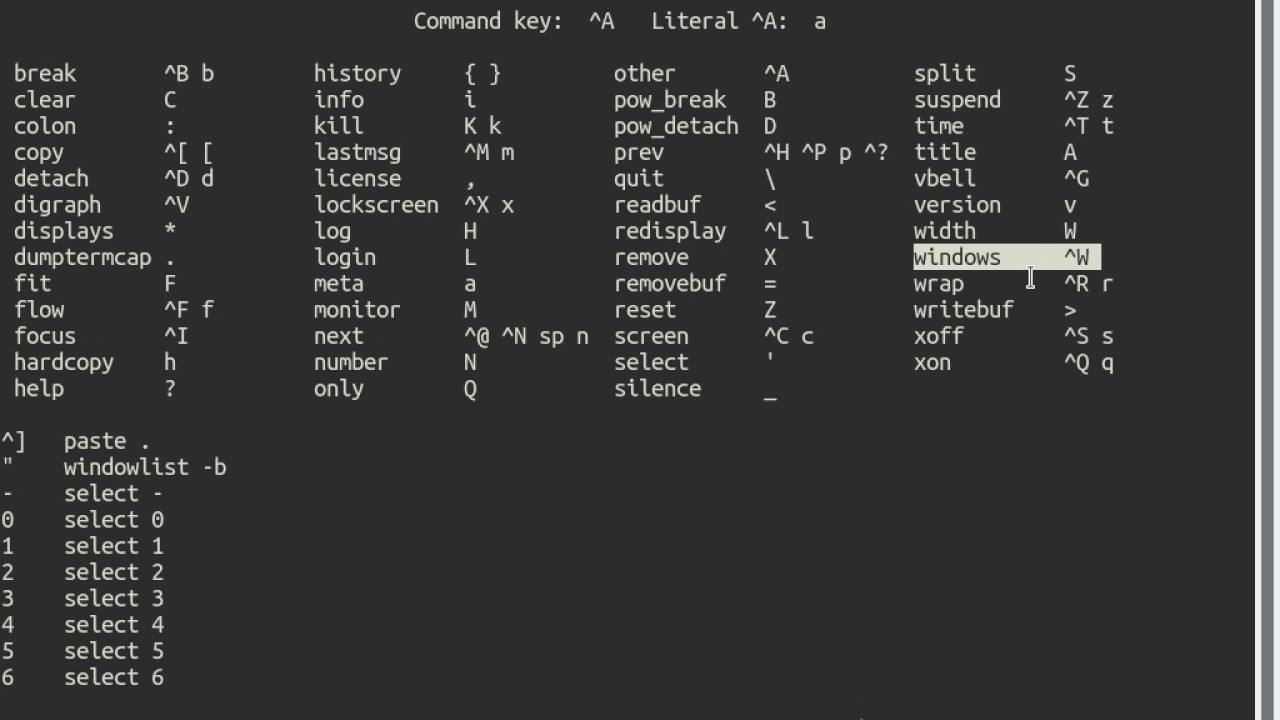 gnu screen basic demo