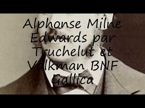 How to pronounce Alphonse Milne Edwards par Truchelut et Valkman BNF Gallica in French?