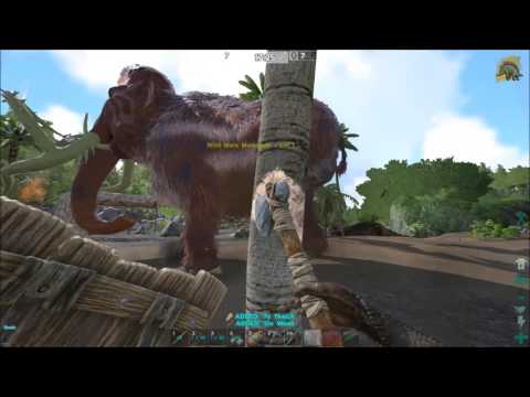 Steam Community :: Video :: All the Tames | Ark: Survival of the Fittest