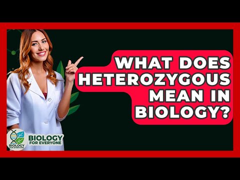 What Does Heterozygous Mean In Biology? - Biology For Everyone
