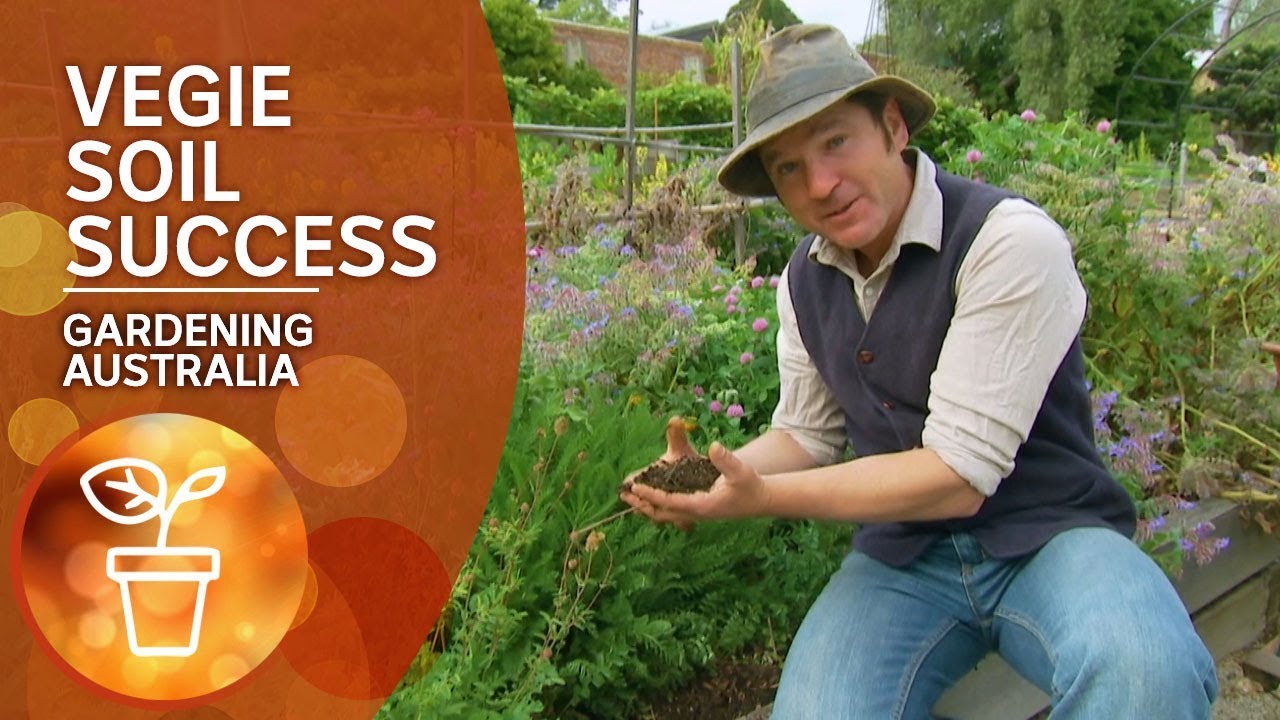 Preparing soil for vegie success