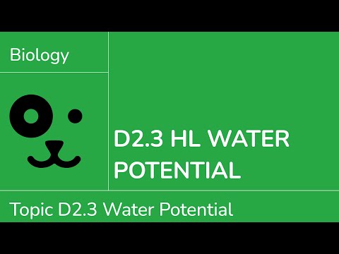 D2.3 HL Water Potential [IB Biology HL]