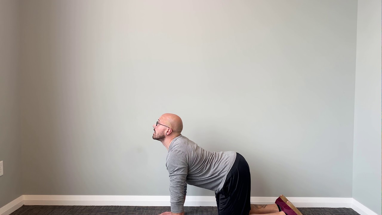 Quadruped Spinal Flexion & Extension