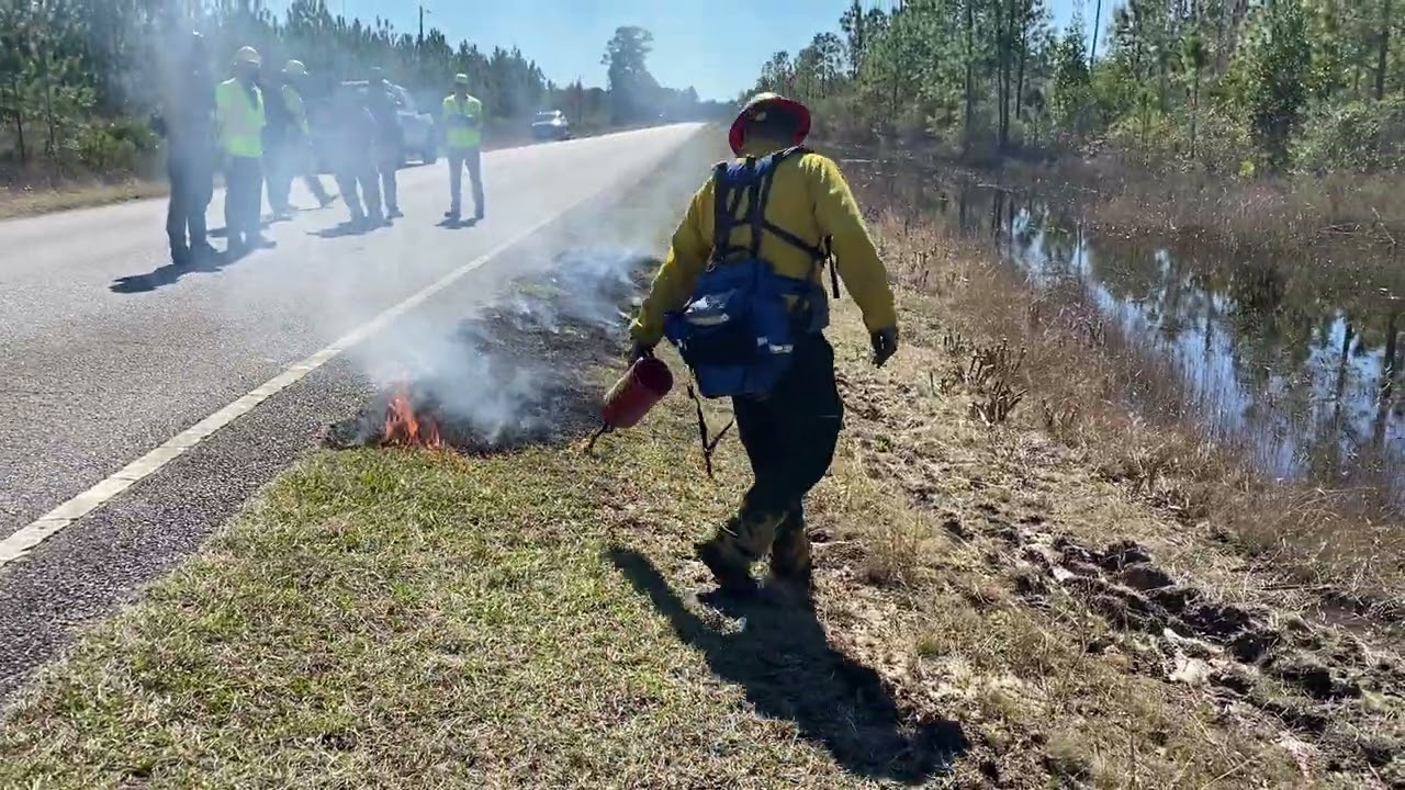Prescribed Burn - Okefenokee Swamp