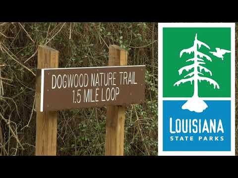 Special Rates for North and South Toledo Bend State Parks!