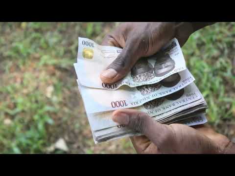 The Naira Conundrum A Tale of Two Names
