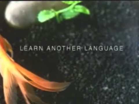 Learn English - English in Use - Advert - Language School