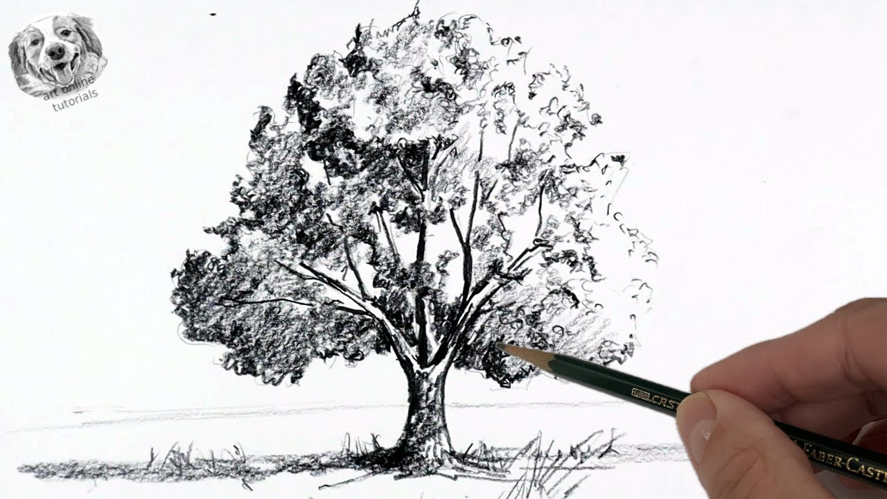 How to Draw a Tree with Pencil — Easy Tutorial for Beginners Step by Step