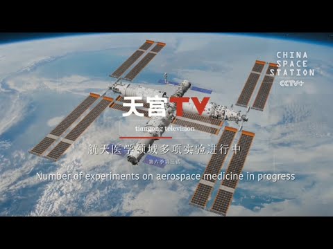 Number of Experiments on Aerospace Medicine in Progress