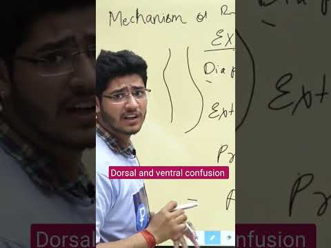 dorsal and ventral trick in zoology|| Neet sorted