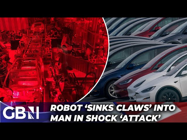 "The war between man & machine begins": Tesla robot attacks engineer at ...
