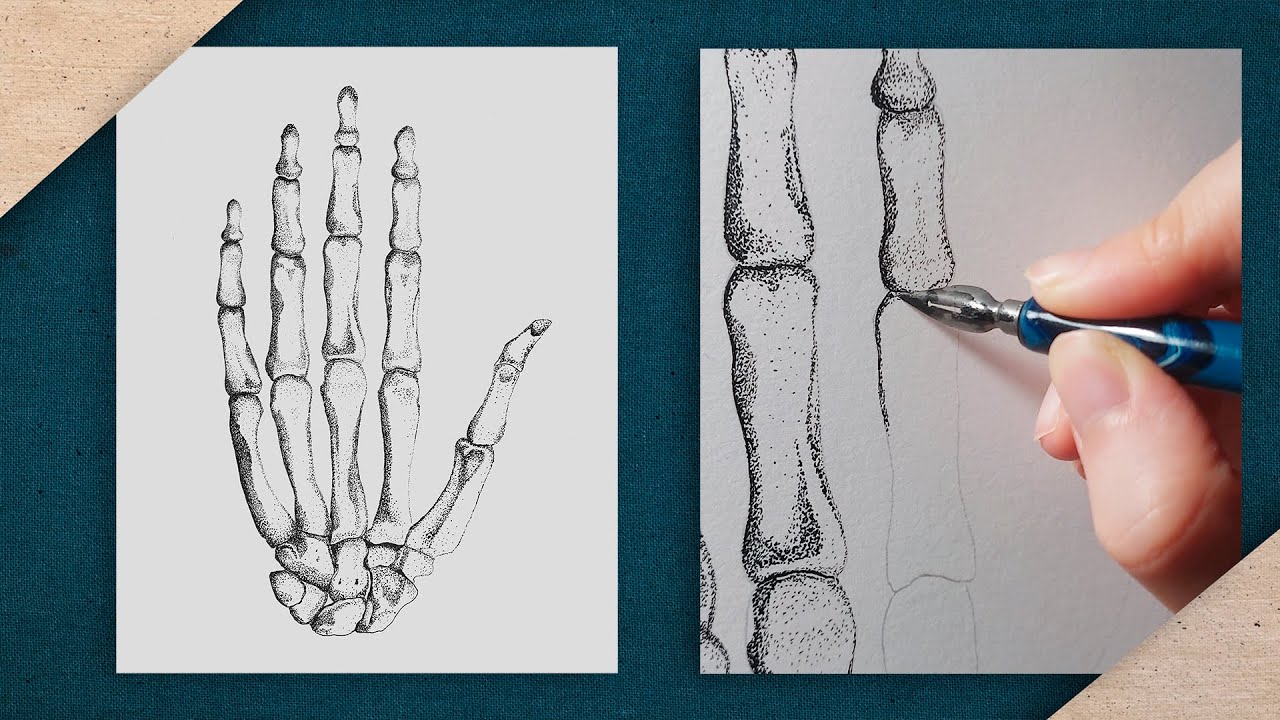 how I made this illustration | the anatomy of the hand  #artlesson #anatomy