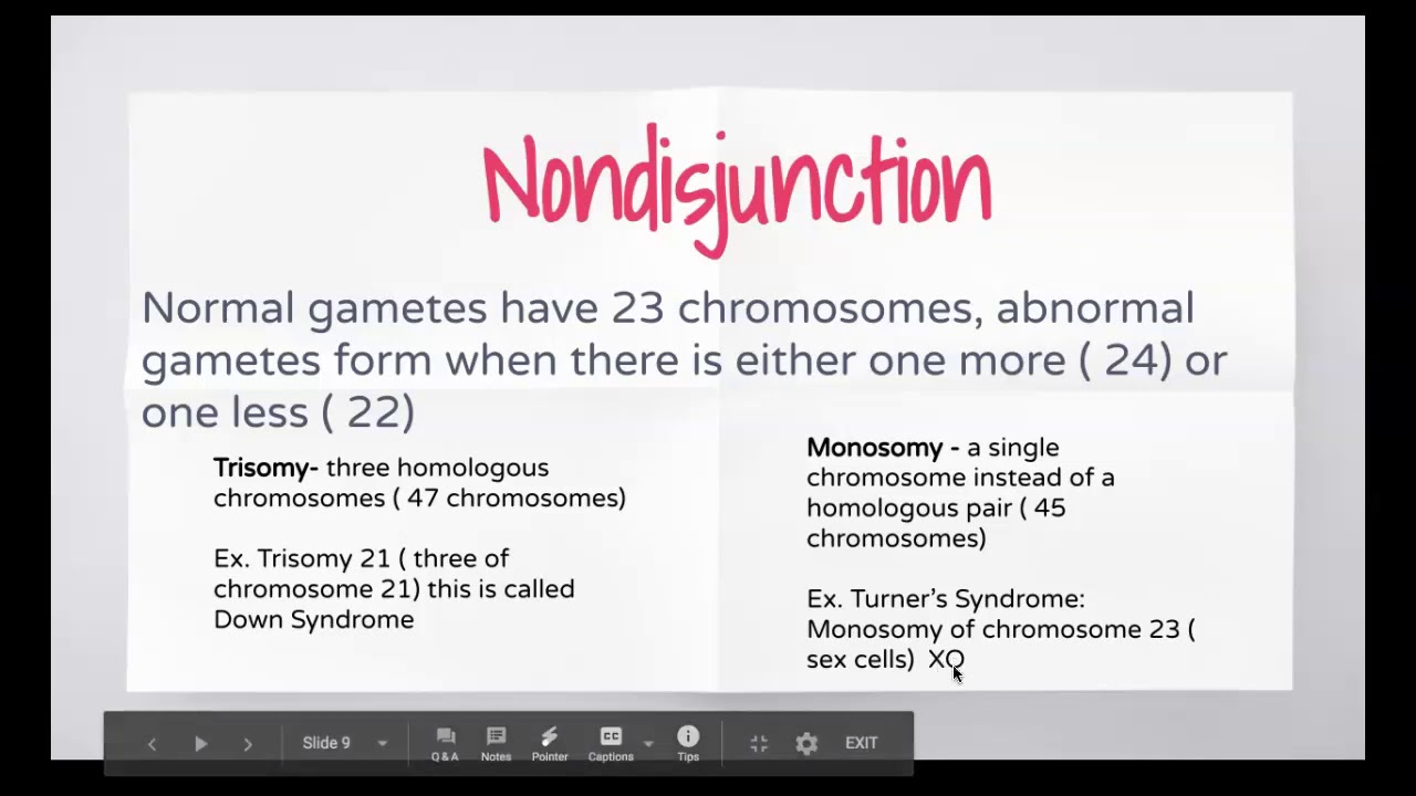 Chromosomal Mutations