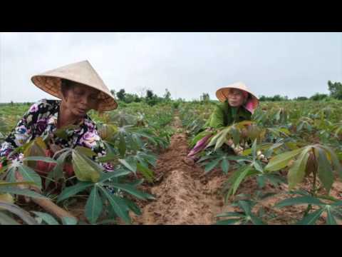 What is climate-smart agriculture?