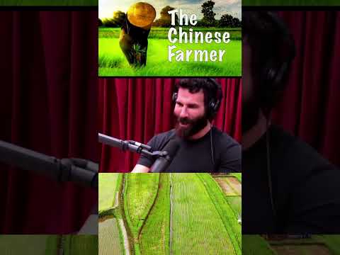 The Chinese Farmer - Negative or Positive? Only Time Can Tell.