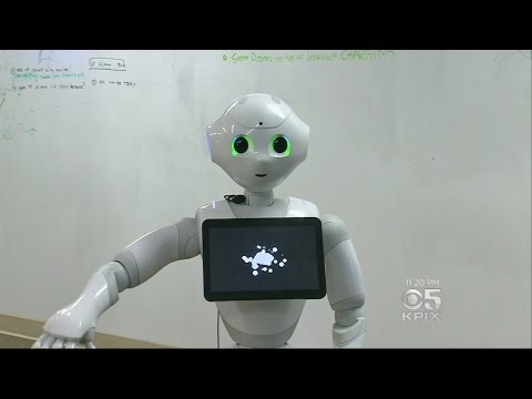 Generation Of Social Robots Being Created In The Bay Area