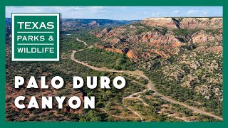 3 Best Hiking Trails in Amarillo, TX - Expert Recommendations