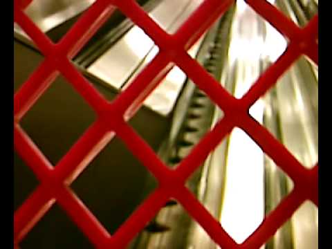 My friend the penguin episode 5: cart escalator ride