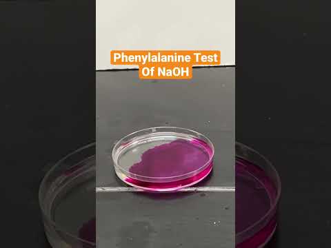 Phenylalanine Test of NaOH Sodium Hydroxide