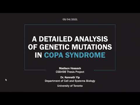 Research – Kenneth W. Yip