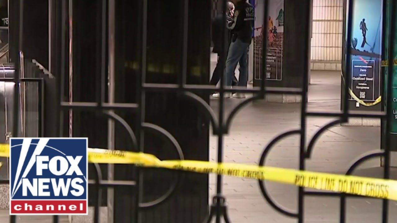 NYC CHAOS: Grand Central machete attack ends in police shooting