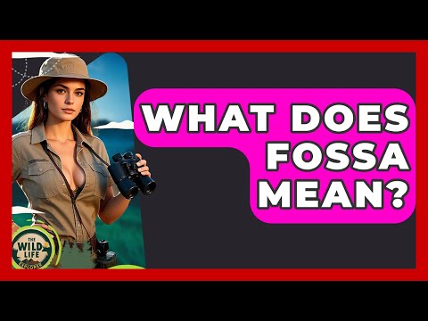 What Does Fossa Mean? - The Wild Life Explorer