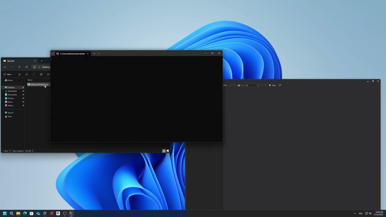 .NET Code Virtualization Benchmark 2025: RikaDotNet vs VMProtect