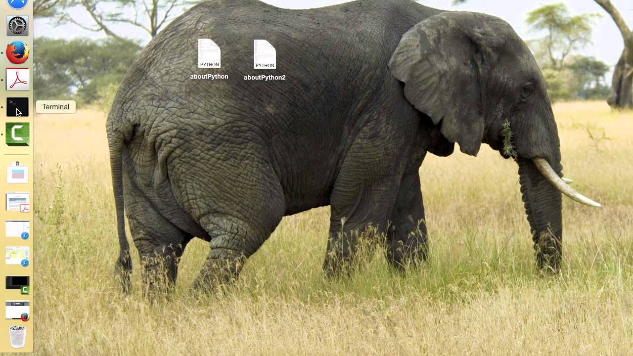 Python3: About Python Program- Adding ASCII Art + Delay