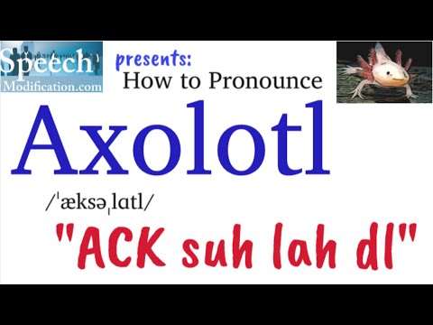 How to Pronounce Axolotl