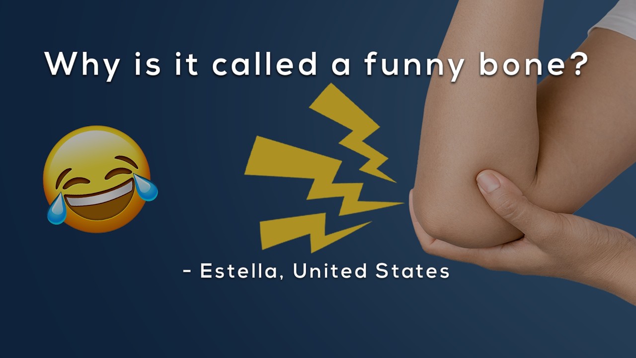 Why is it called a funny bone?