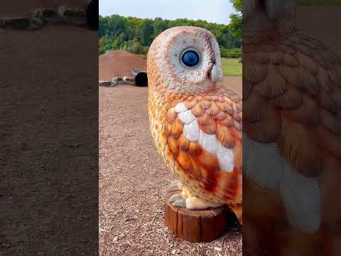 Fall Activities Near Toronto 2024 | Springridge Farm Milton ππ #nature #adventure