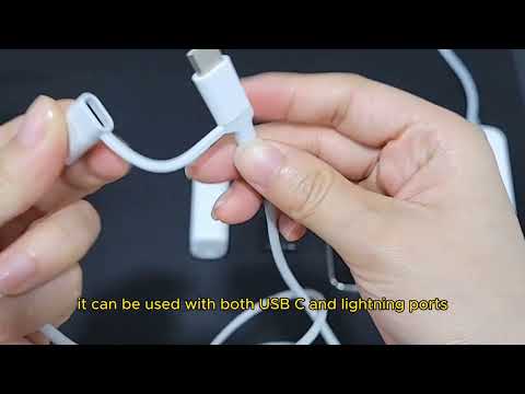 2 IN 1 USB C LIGHTNING CABLE
