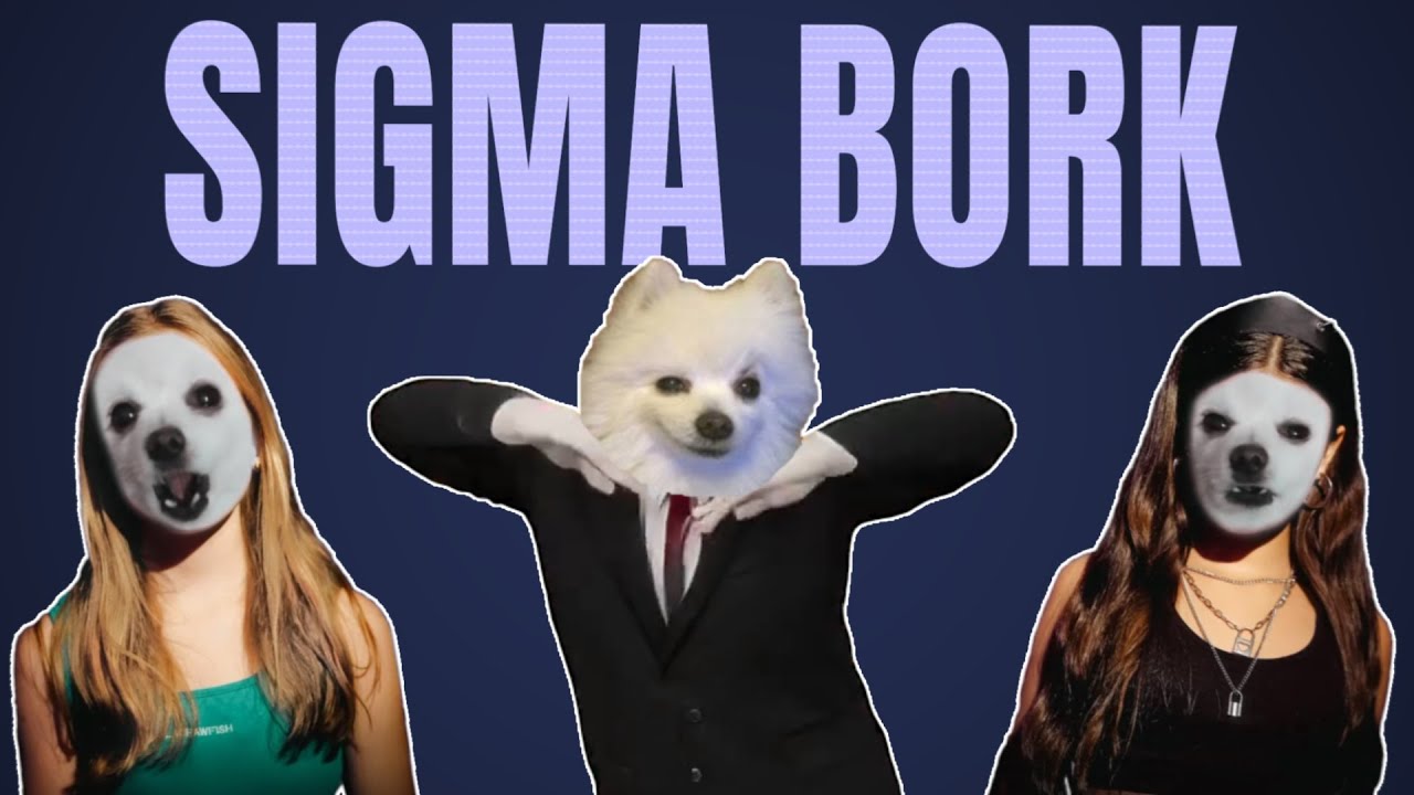 SIGMA BOY (X) SIGMA BORK (O)