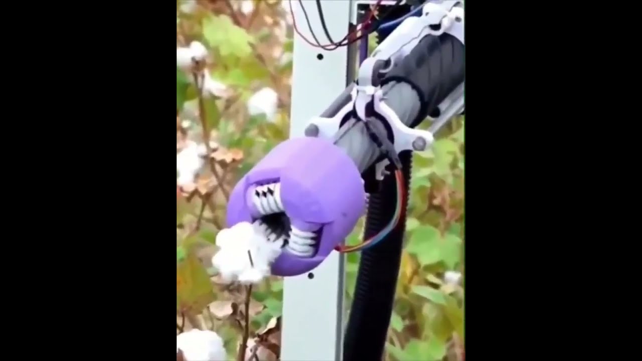 Revolutionizing Cotton Harvesting: Introducing the Autonomous Cotton Picker by Robot Machinery