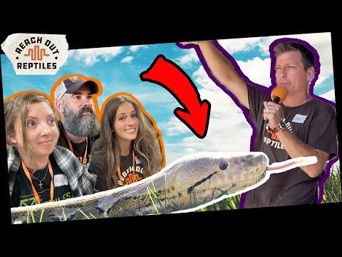The BEST PYTHON PARTY Of The Year! | Reticfest 2024