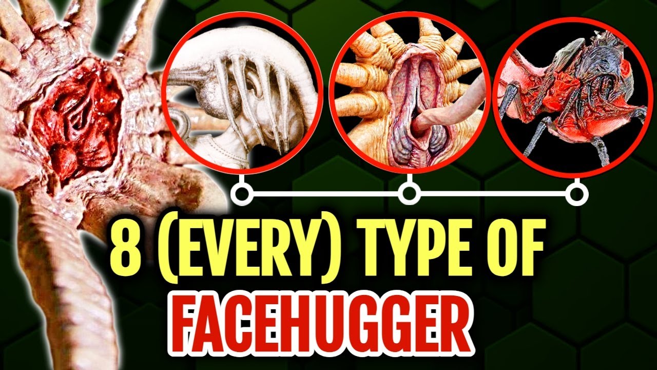 8 (Every) Type Of Facehuggers In The Xenomorph/Alien Franchise - Explored In Detail