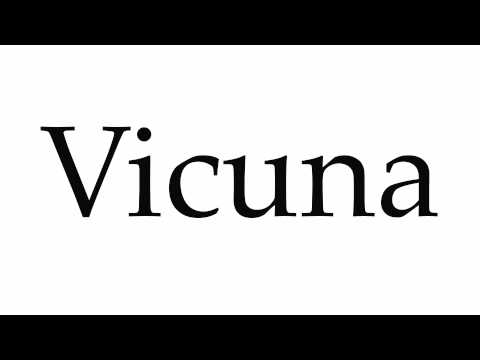How to Pronounce Vicuna