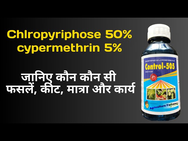 Organic Insecticides - Quota Acephate 75% SP Water Soluble Power ...