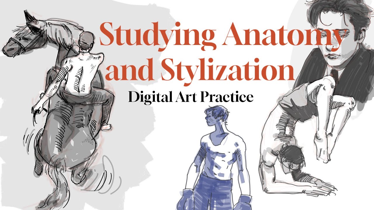 How I do anatomy studies (on procreate)! - stylizing proportions, digital art benefits and portraits