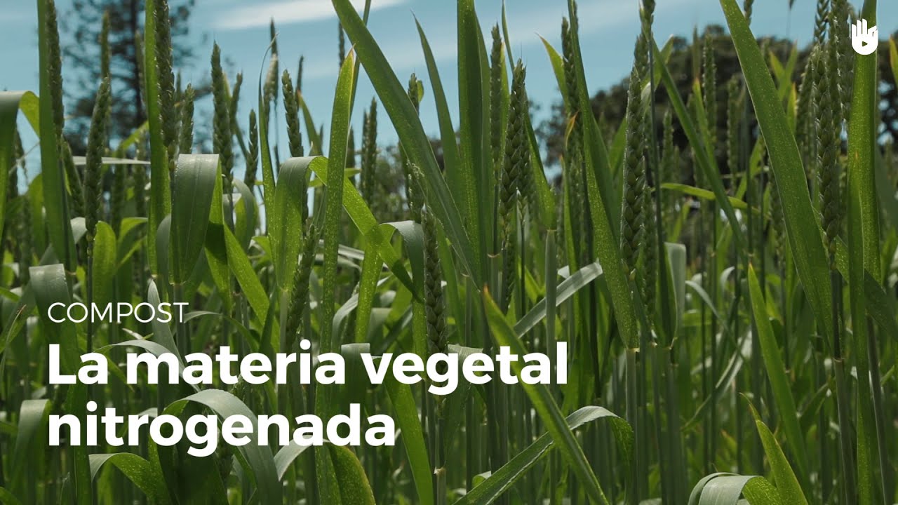 Qu'est Ce Qu'un Matériau Vert En Compost? - Aprende a hacer abono | Sikana