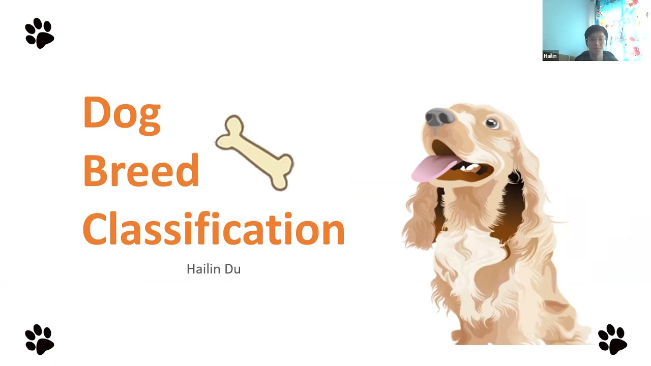 Dog Breed Image Classification