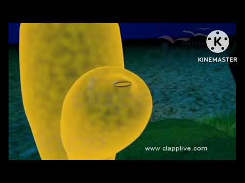 what is budding in hydra? #biology#viral